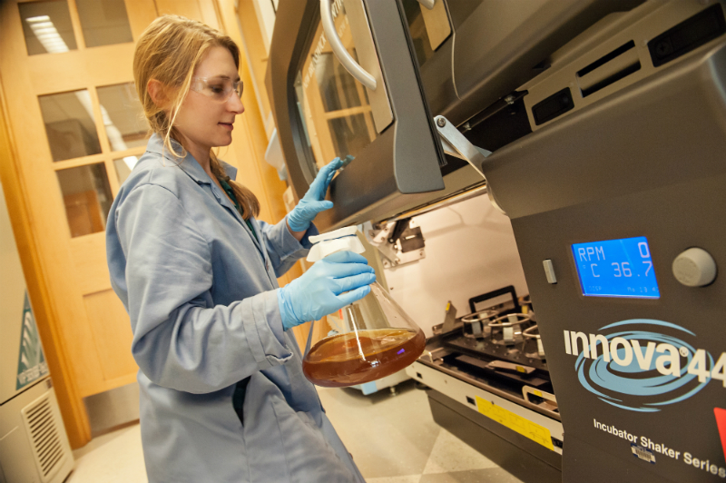 Research Highlights | Chemical Biology